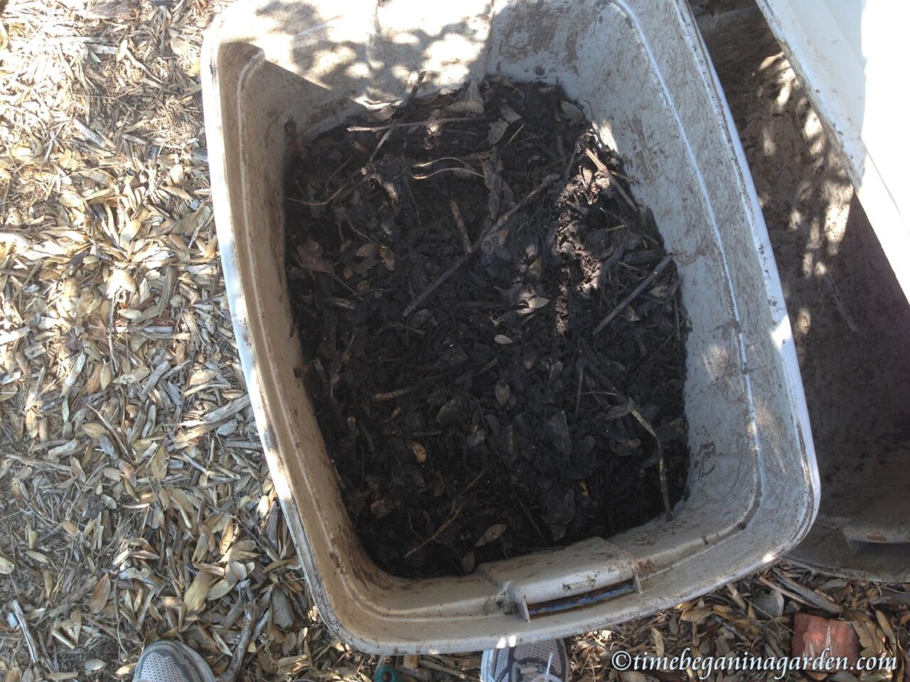 Black Soldier Fly Composting: Complete Guide And 7 Reasons To Start ...