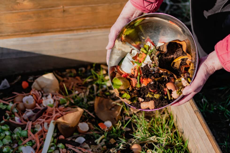How To Compost At Home Today: The Ultimate Guide 7 Powerful Reasons And ...