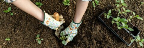 Spring Gardening Checklist: 10 Steps To Prepare Your Garden For The ...