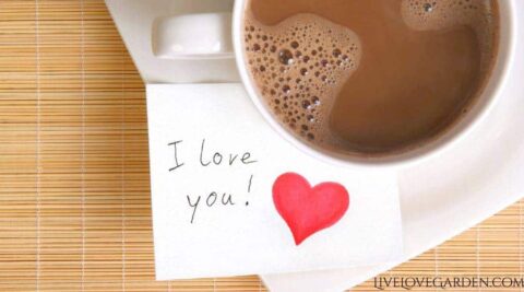 The True Meaning Of Love: 5 Ways To Cultivate Lasting Love - Live Love ...