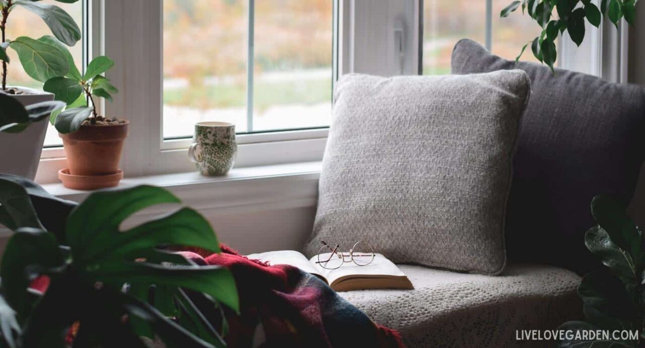 Embrace A Quiet Living Lifestyle In A Loud World - 10 Simple Ways ...